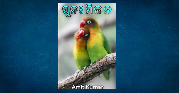 reunion by Amit Kumar in Odia Magazine PDF